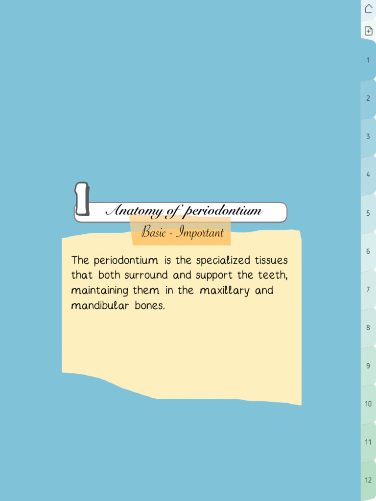 AFK Study Plan Perio Sample | PDF | Epithelium | Periodontology