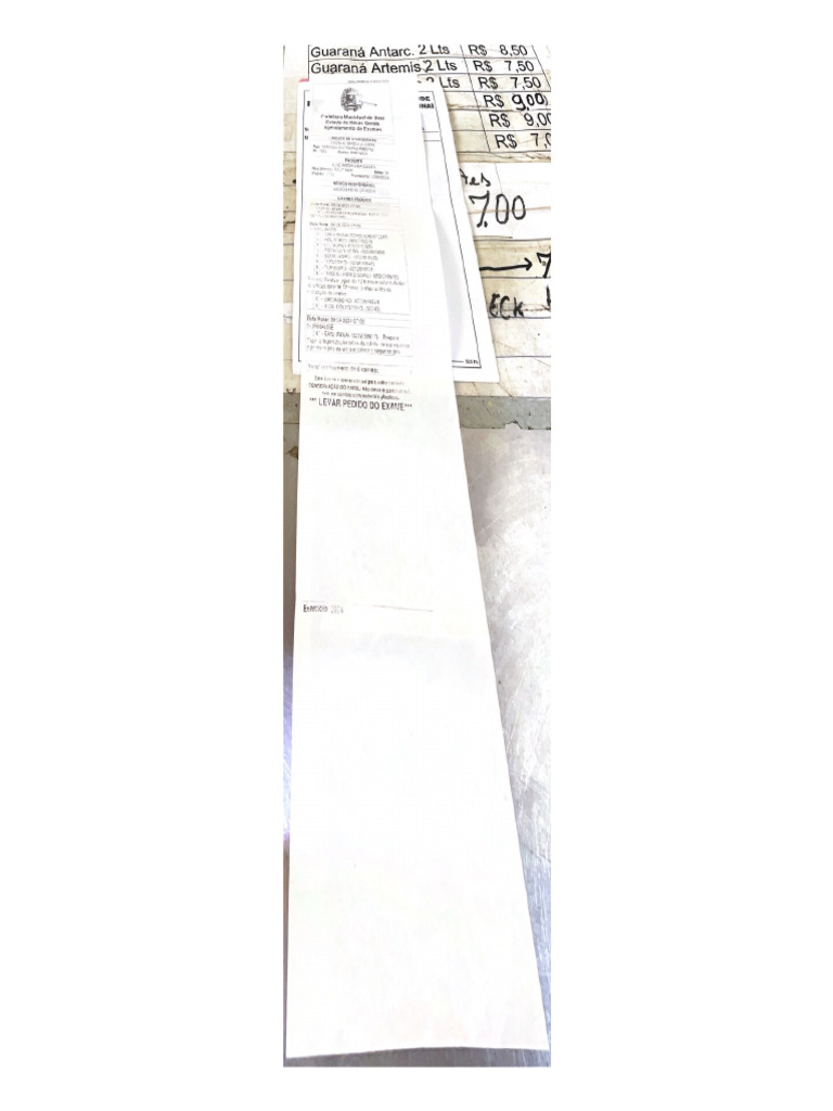 Guaraná Artemis 2 Lts | PDF