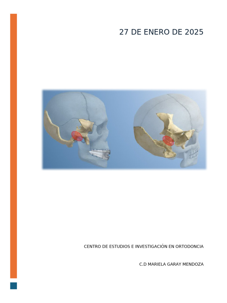 Sincondrosis Esfeno-Occipital: Función y Desarrollo | PDF | Cráneo ...