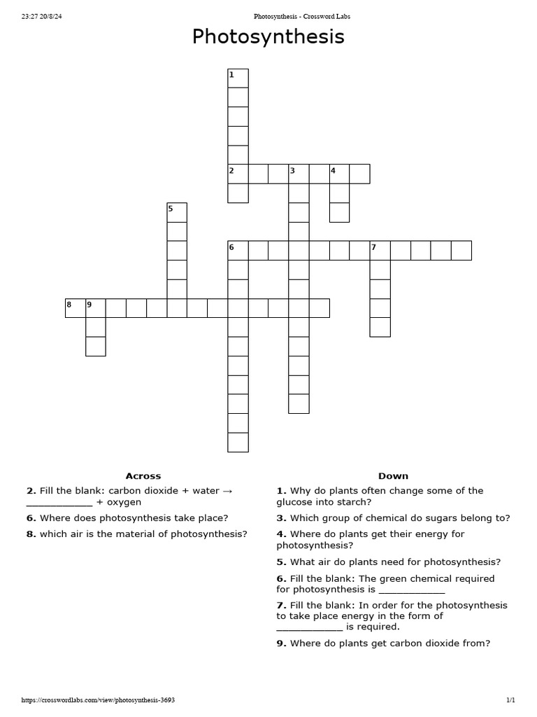 Photosynthesis Crossword Puzzle | PDF