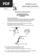 Biology S2 Second Term Exam 2025 | PDF | Photosynthesis | Enzyme