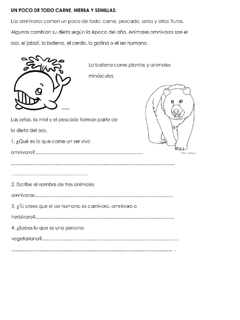Actividades Omnívoros | PDF