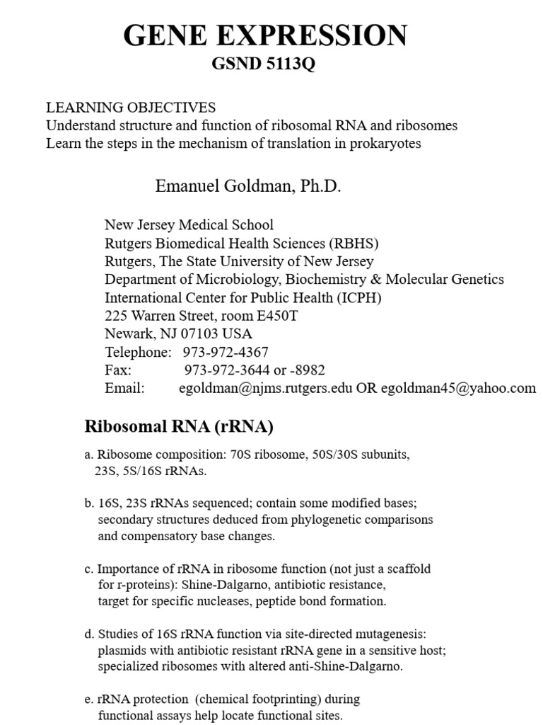 Gene Expression: GSND 5113Q | PDF | Ribosomal Rna | Ribosome