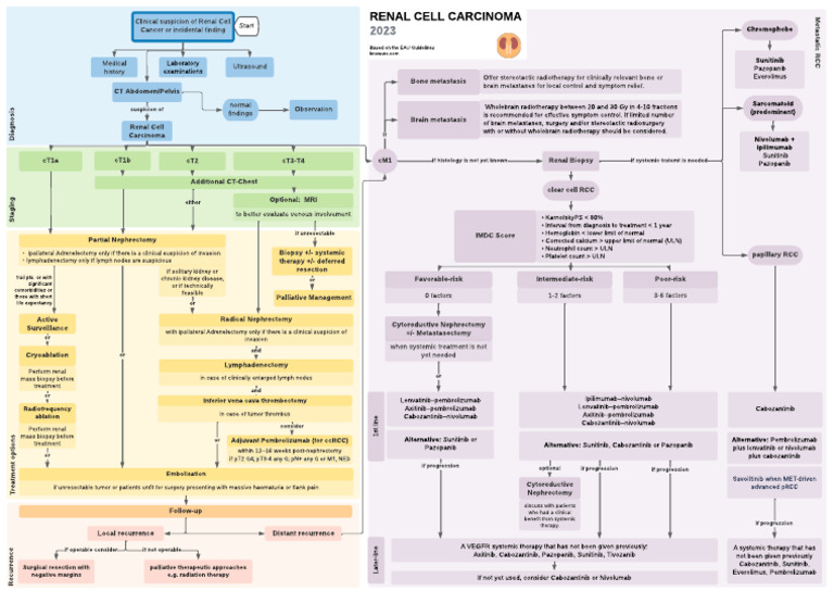 Renal Cell Carcinoma Diagnosis & Treatment Guide | PDF | Metastasis ...