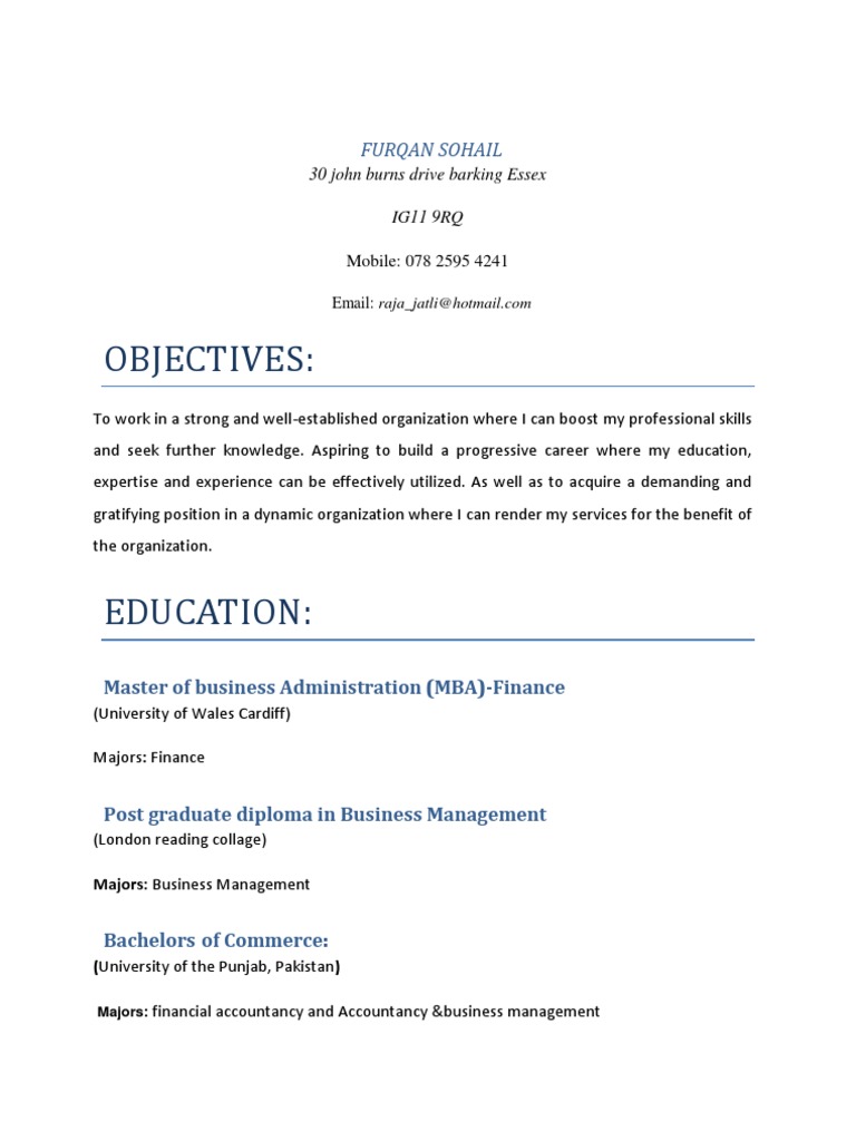 Admin CV | PDF | Microsoft Excel | Internet