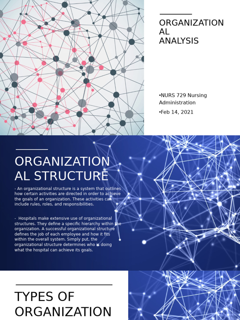 Organizational Analysis Presentation Pdf Organizational Structure 4037