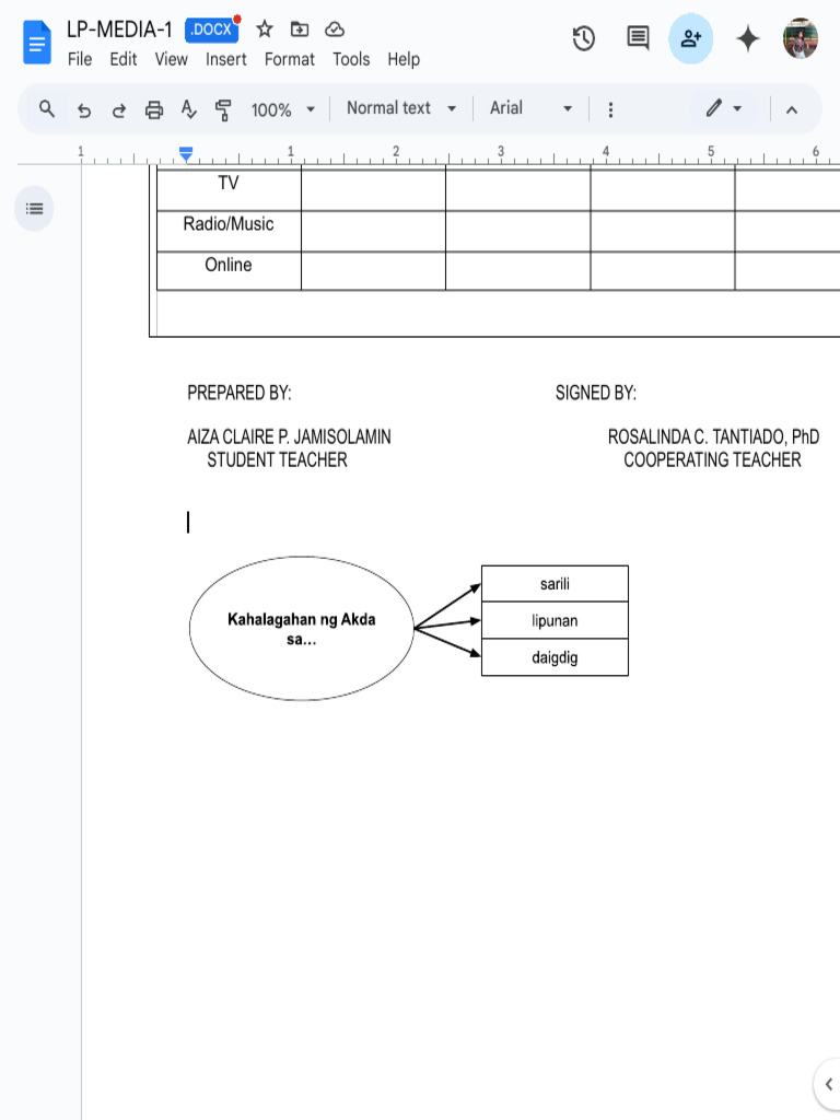 LP-MEDIA-1.docx - Google Docs | PDF