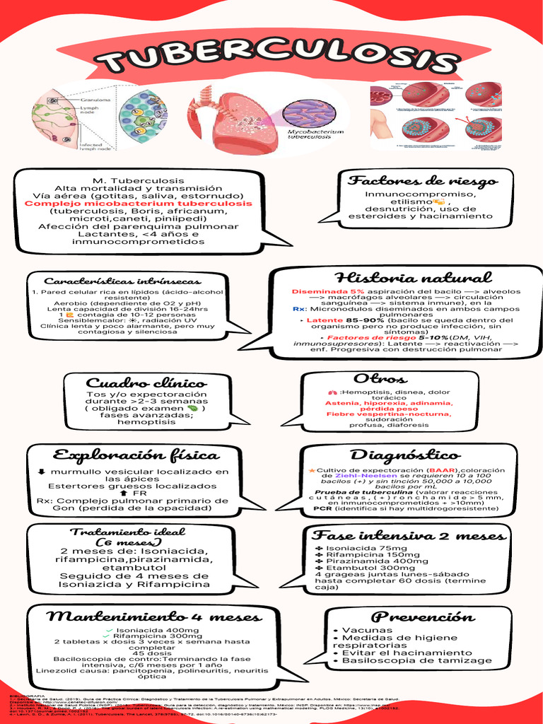 Infografía TUBERCULOSIS | PDF | Tuberculosis | Especialidades Medicas