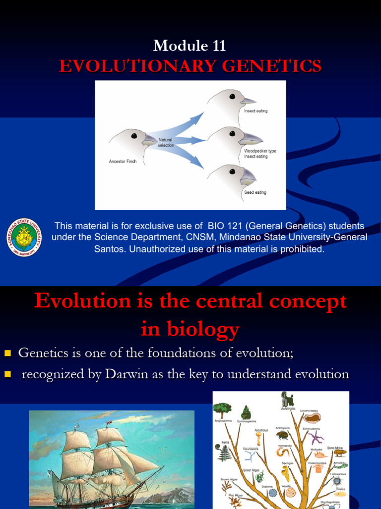 Chapter 12 Evolutionary Genetics | PDF | Evolution | Natural Selection