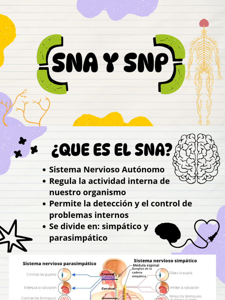 SNA y SNP (1) | PDF