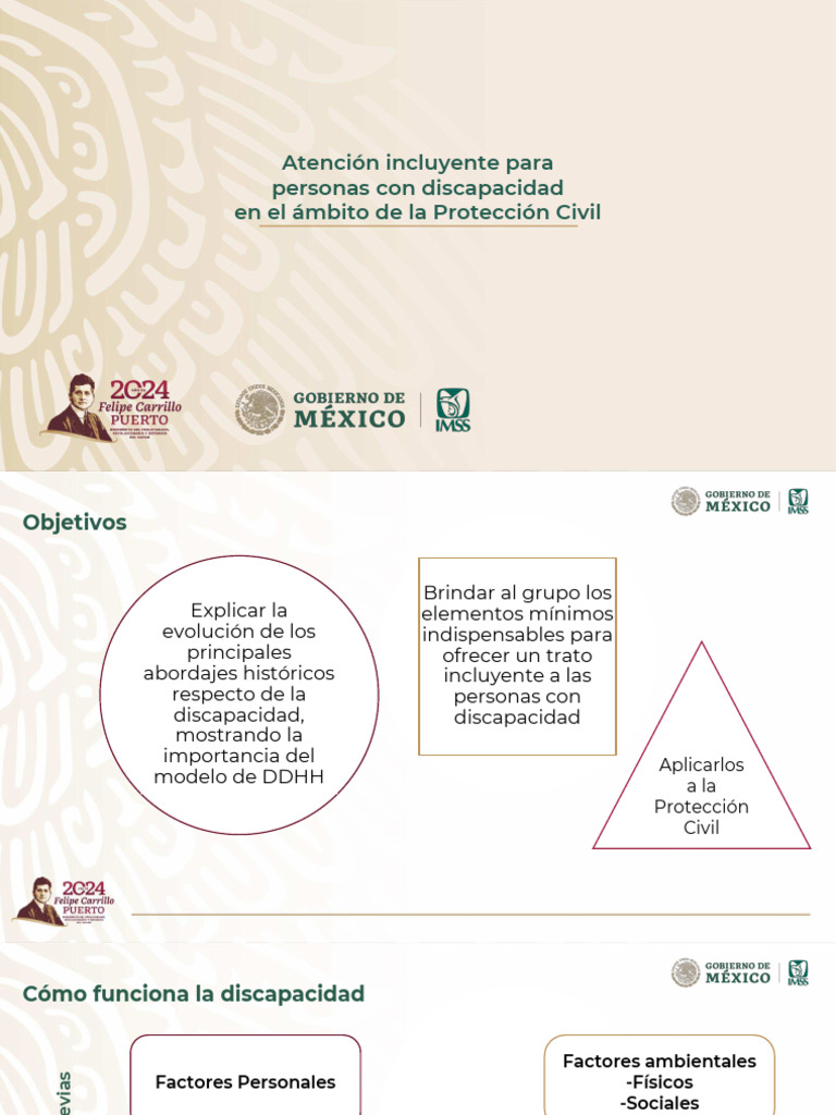 Tema 3 Inclusi N Grupos | PDF | Invalidez | Defensa Civil