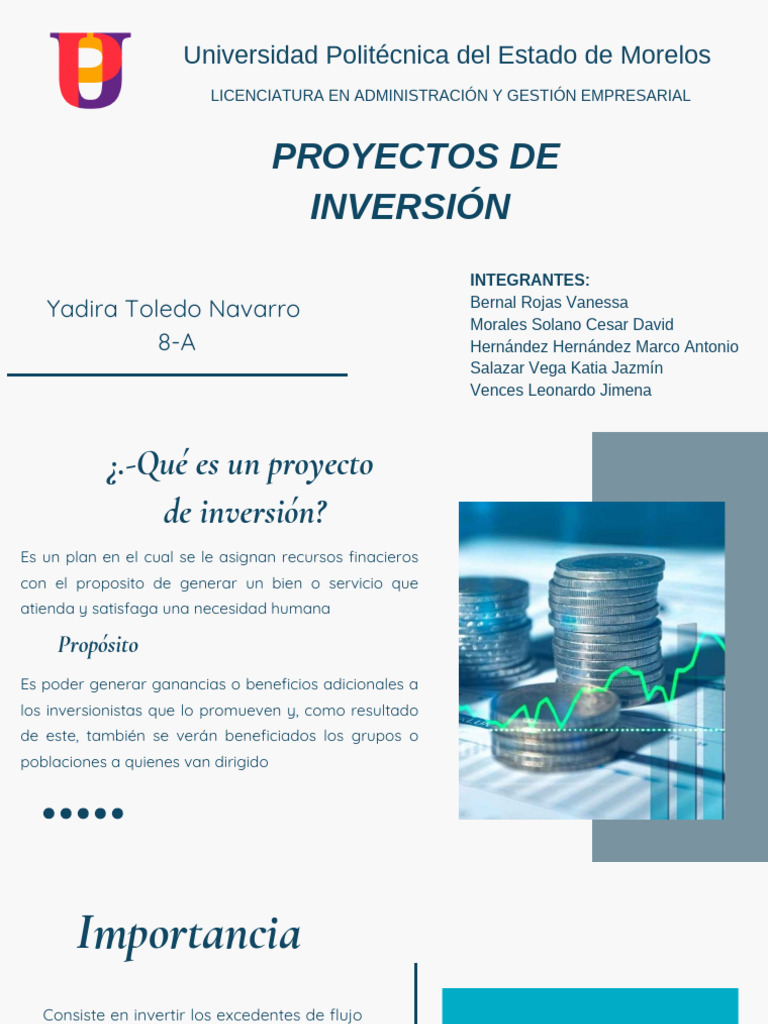 Proyectos de Inversión: Guía Completa | PDF | Inversiones | Business