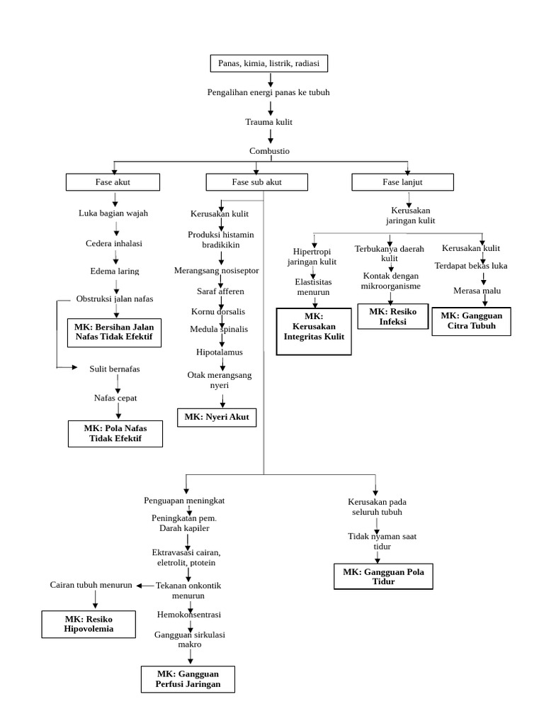 Pathway Luka Bakar | PDF