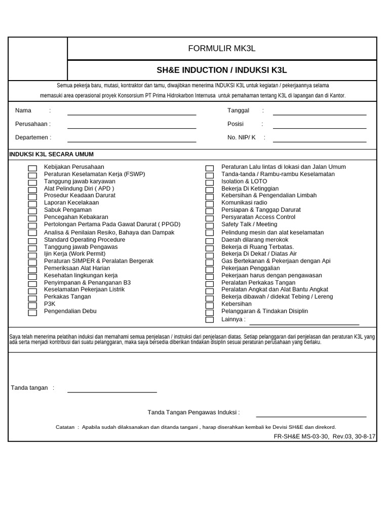 (MMS) SHE Induction | PDF