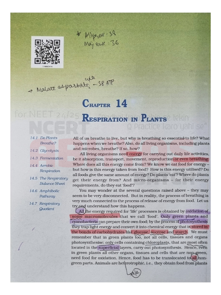 Respiration in Plants AR Marked | PDF