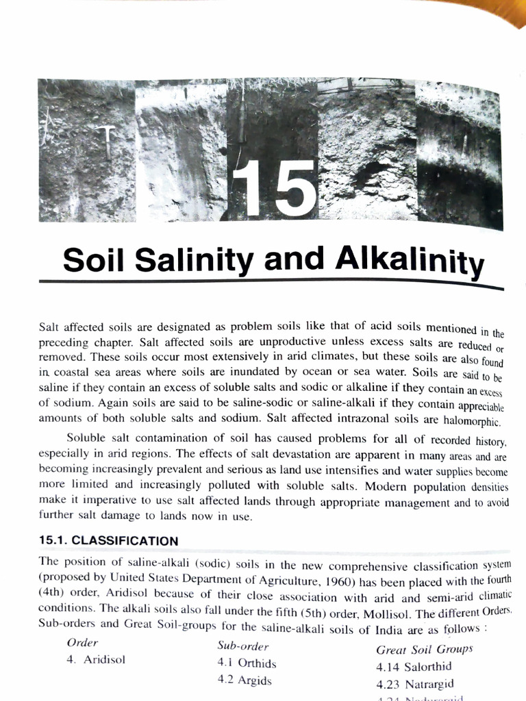 Understanding Soil Alkalinity and Salinity | PDF | Soil | Natural Materials
