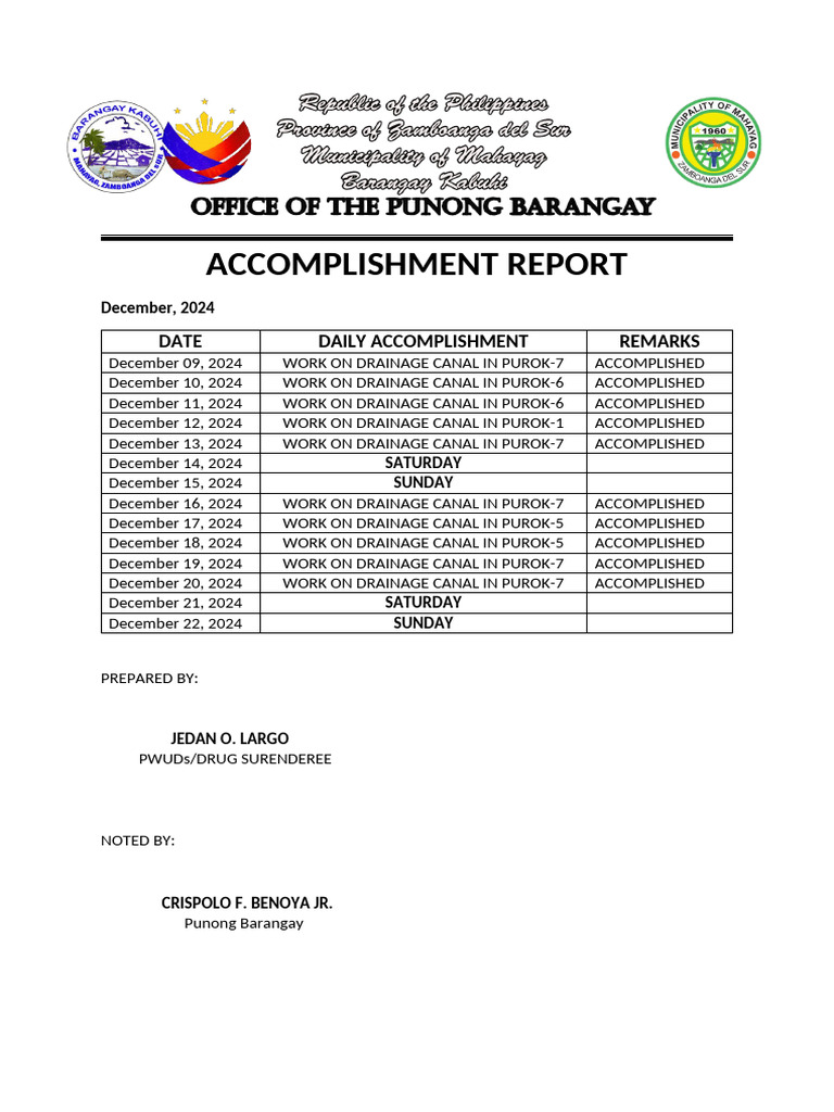 Daily Accomplishment Report | PDF