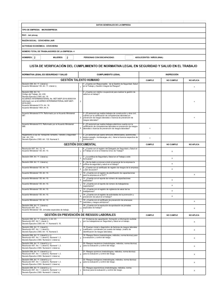 Formato de Inspecci-N 1 A 9 Trabajadores-Grupal | PDF | Radiación