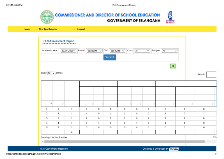 FLN Assessment Report | PDF