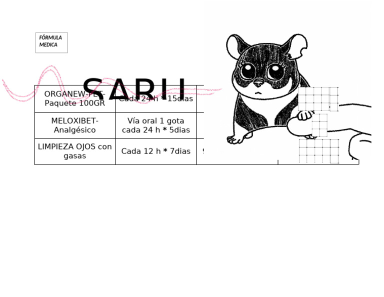 Saru | PDF
