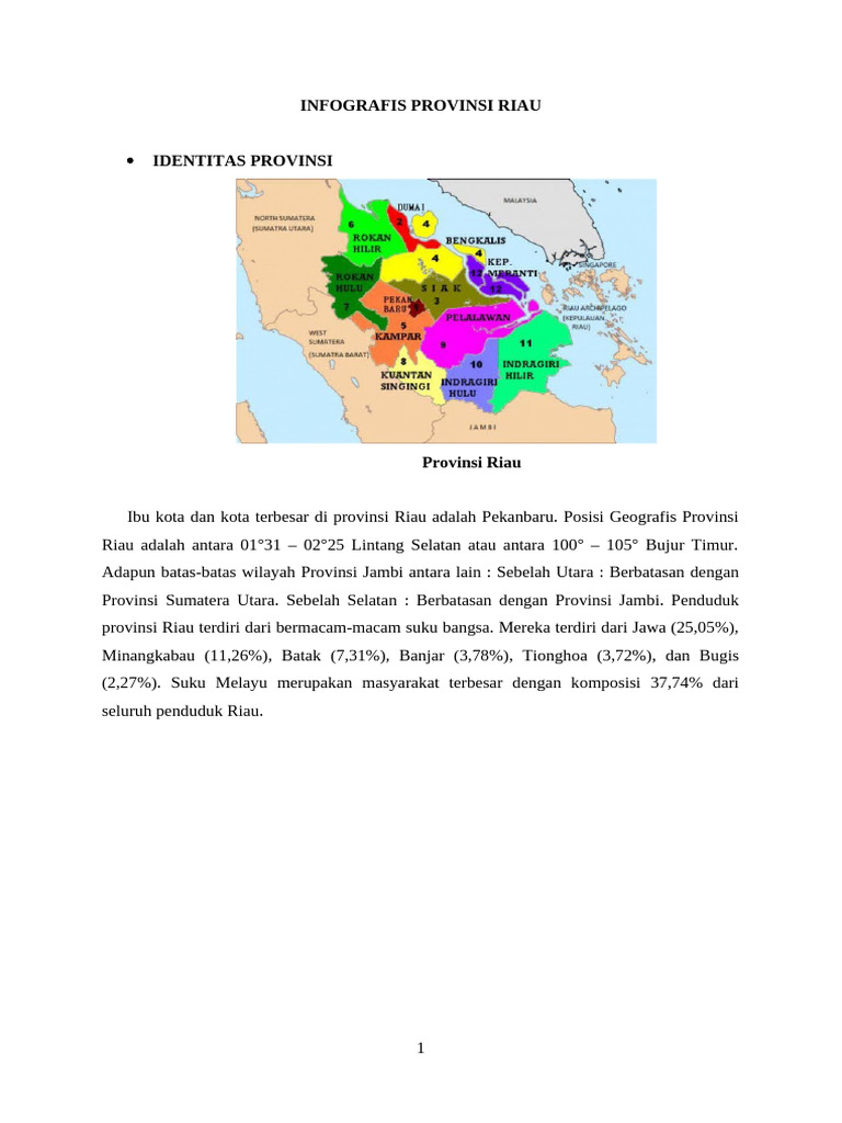Infografis Provinsi Riau | PDF