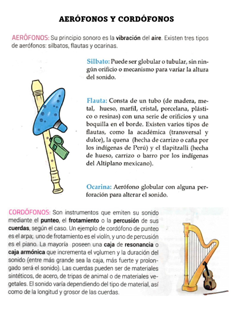 AERÓFONOS Y CORDÓFONOS | PDF