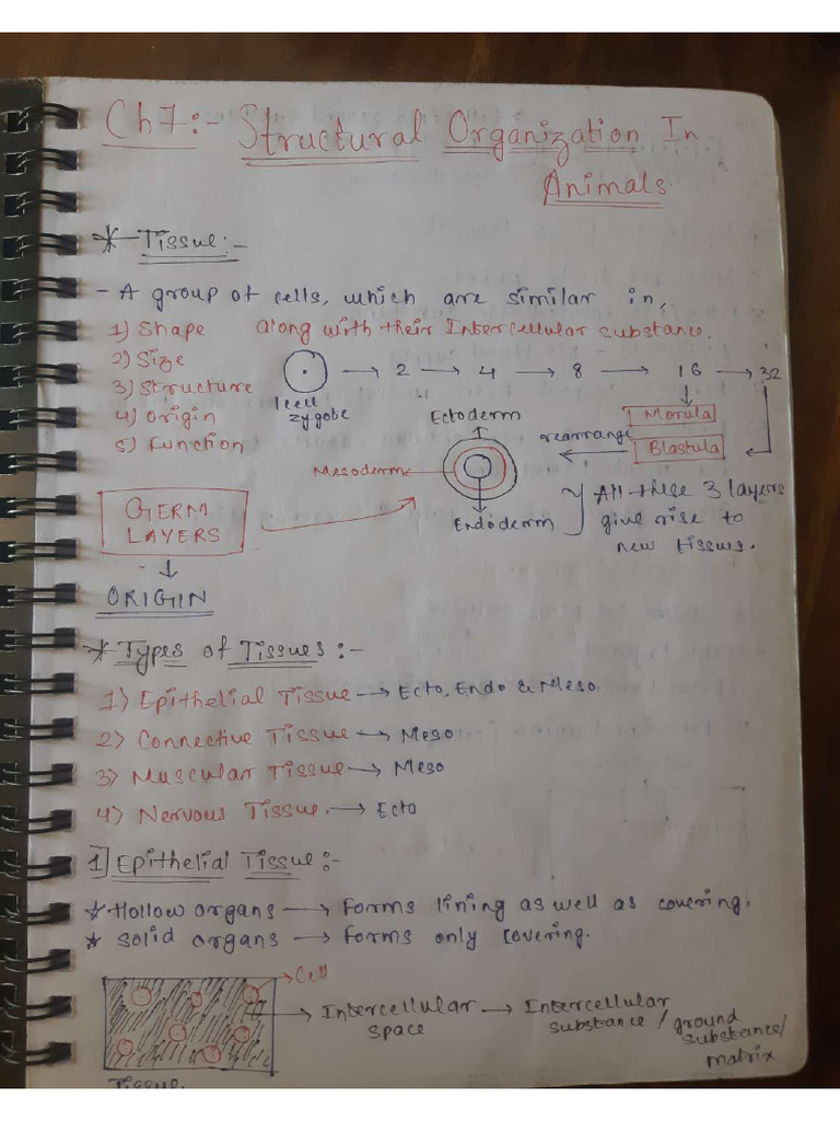 Class Notes Zoology 1 | PDF