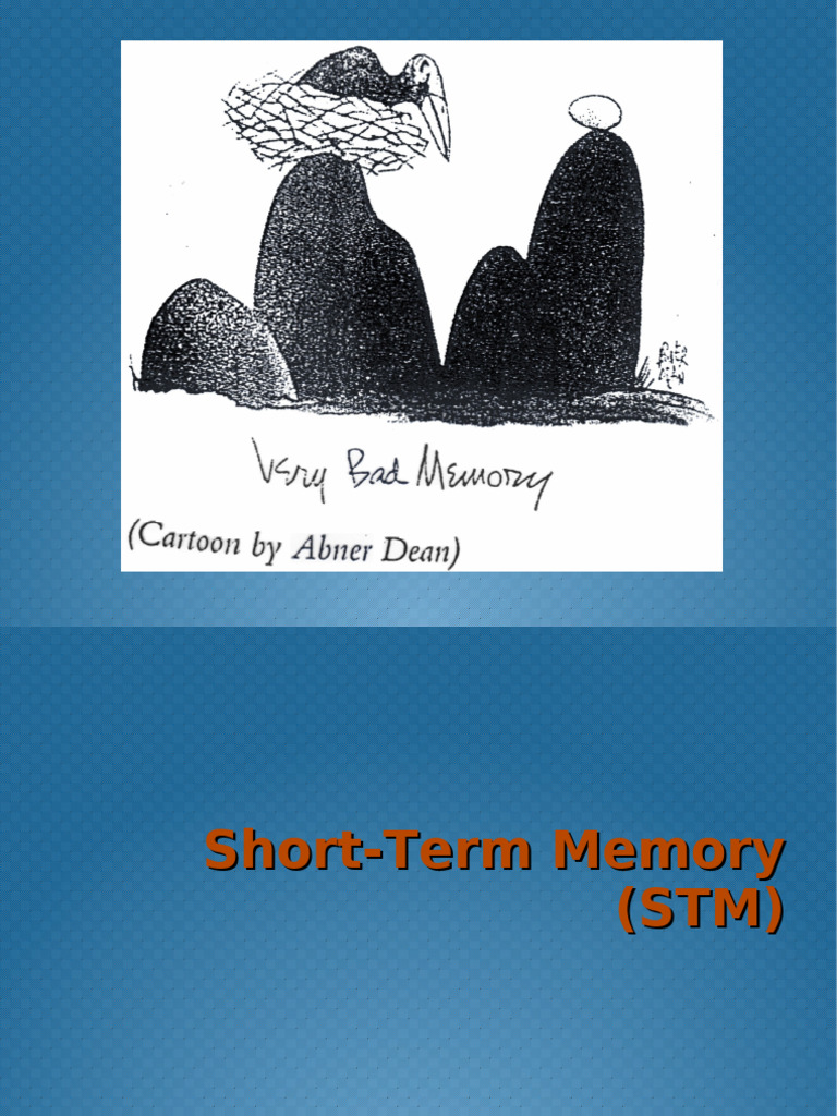 3 - STM | PDF | Recall (Memory) | Memory