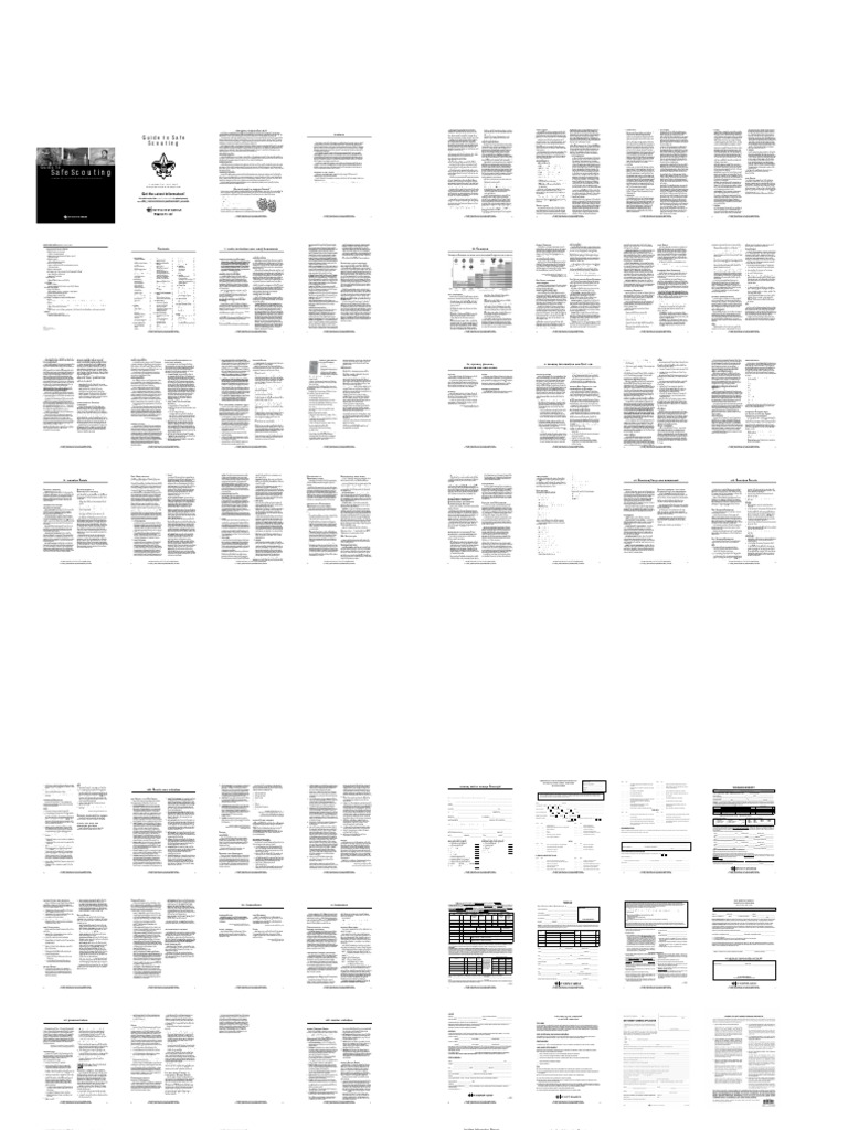 Safe Scouting Page | PDF | Boy Scouts Of America | Scouting