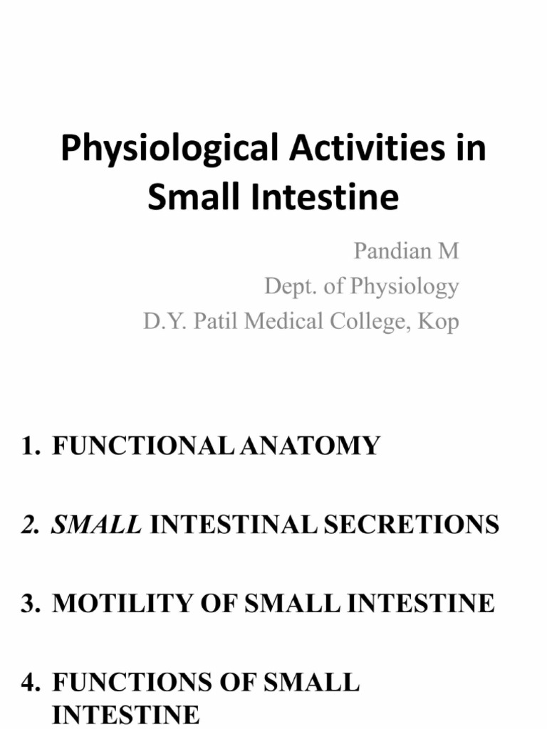 25 Small Intestine - Secretion, Functions and Regulation | PDF