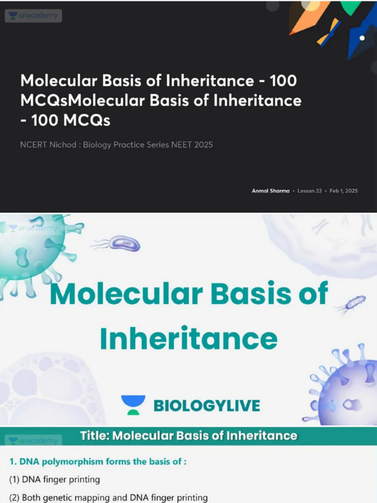 Molecular Basis of Inheritance - 1 No Anno 1739024234519 | PDF