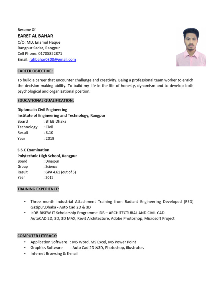 old cv | PDF