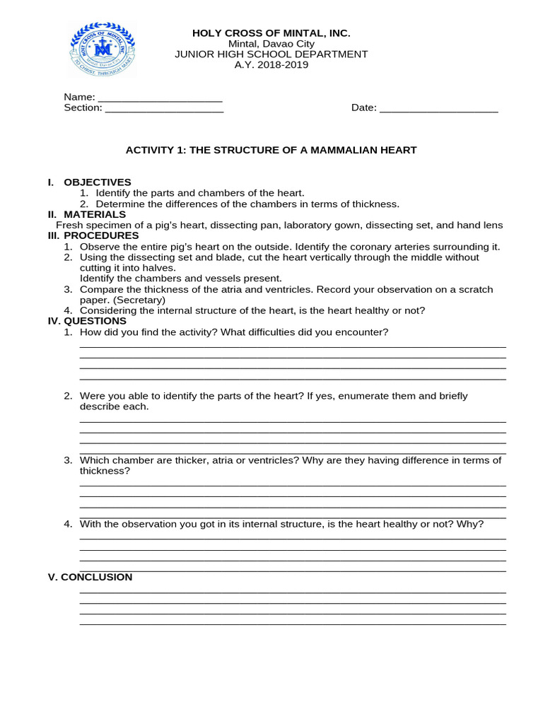 HEART MANUAL | PDF | Heart | Atrium (Heart)