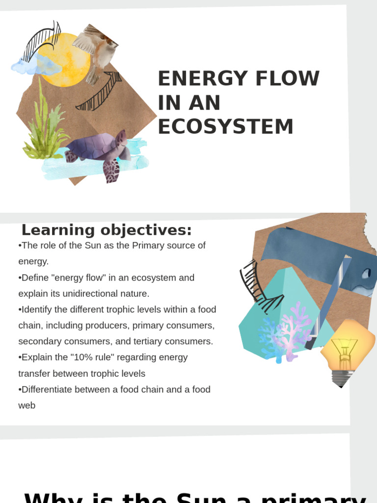 Energy Flow in An Ecosystem by Nissi Kaye C.bagnol | PDF | Food Web | Foods