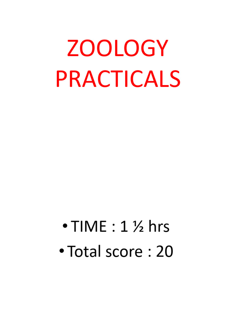 Zoology Practicals Guide | PDF