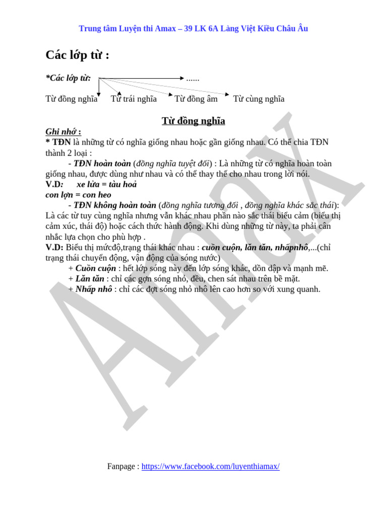 Bai13 Tu Dong Nghia | PDF