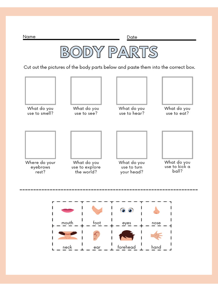 Color and Greyscale Illustrated Identify The Body Parts Worksheet For ...