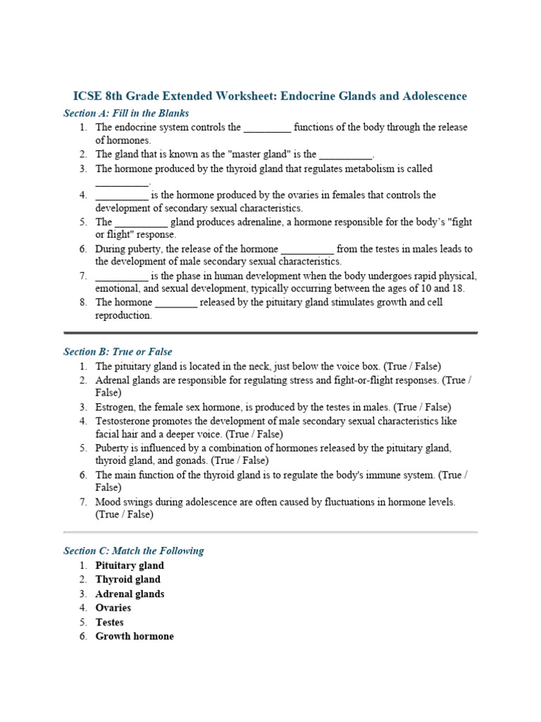 8th Grade Endocrine & Adolescence Worksheet | PDF | Endocrine System ...