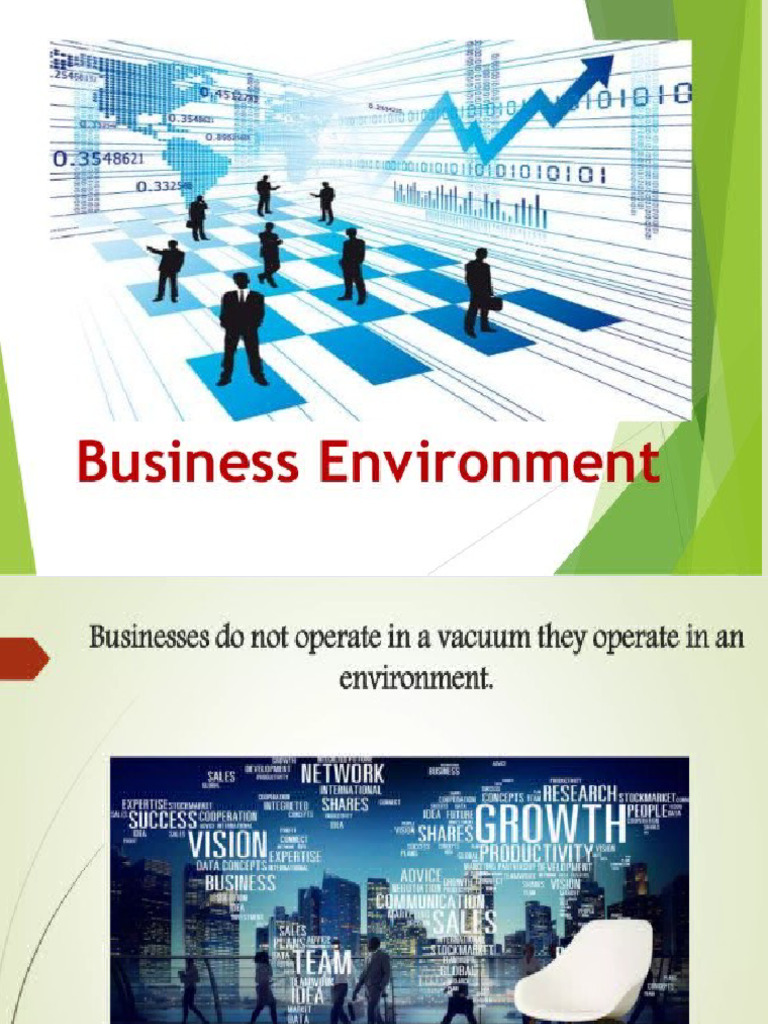 Understanding Business Environment Dynamics | PDF | Natural Environment ...