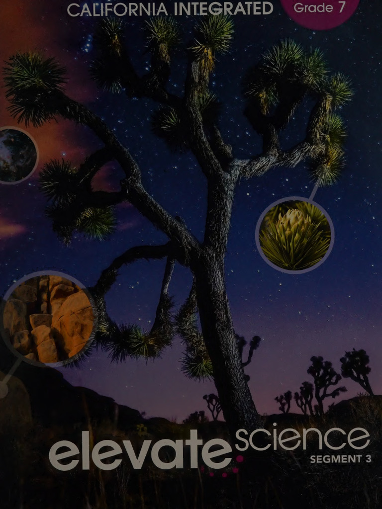 Elevate Science Segment 3 Grade 7 | PDF | Coal | Fuels