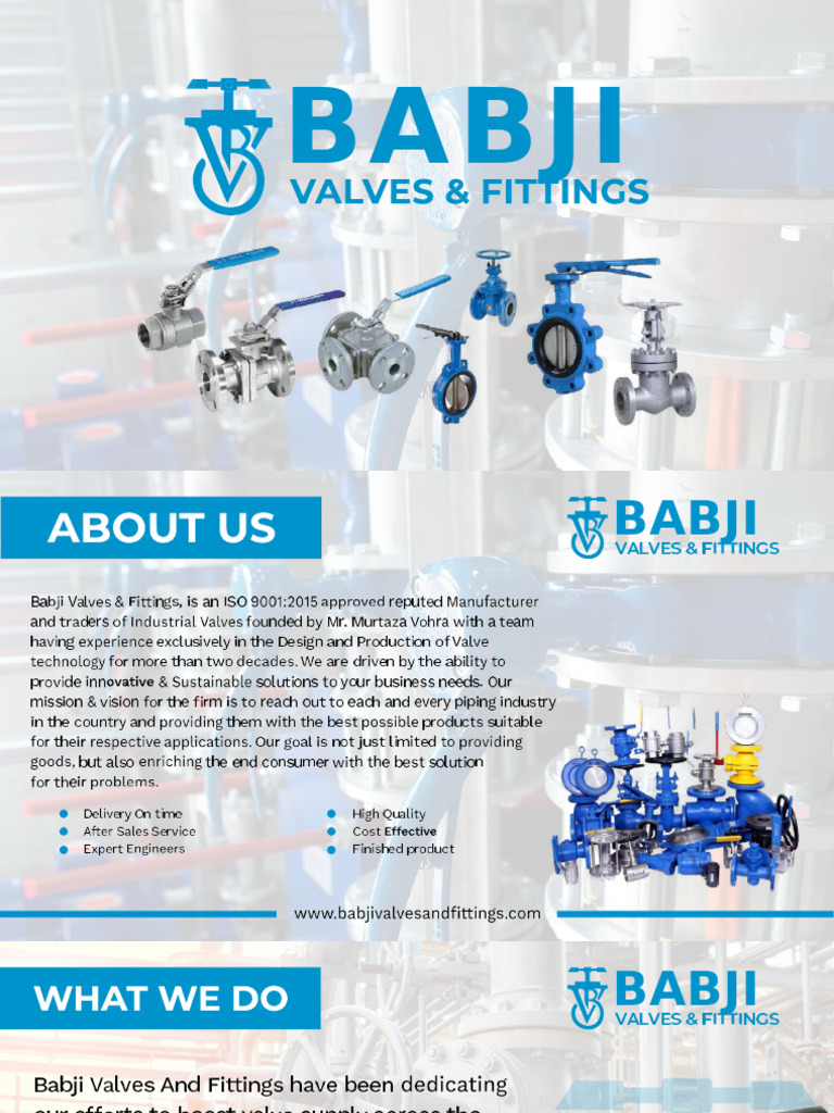 Babji-Brochure Compressed | PDF