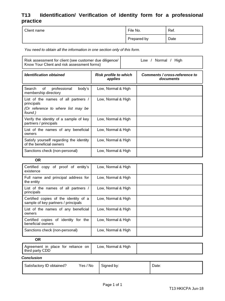T13 Identification Form - Professional Practices | PDF