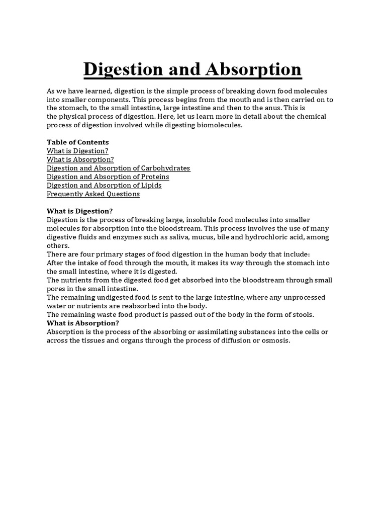 Digestion and Absorption Explained | PDF | Digestion | Stomach