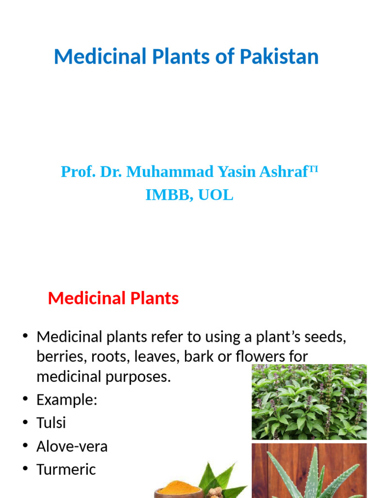 Medicinal Plants in Pakistan | PDF | Turmeric | Medical Cannabis