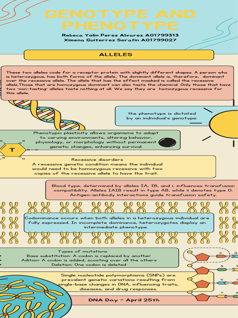 Genotype-Phenotype Interactions Explained | PDF