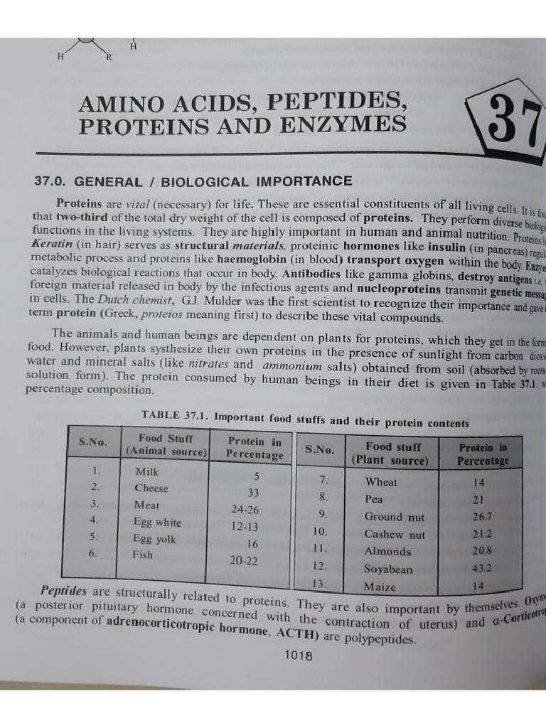 Aminoacids, Peptides | PDF
