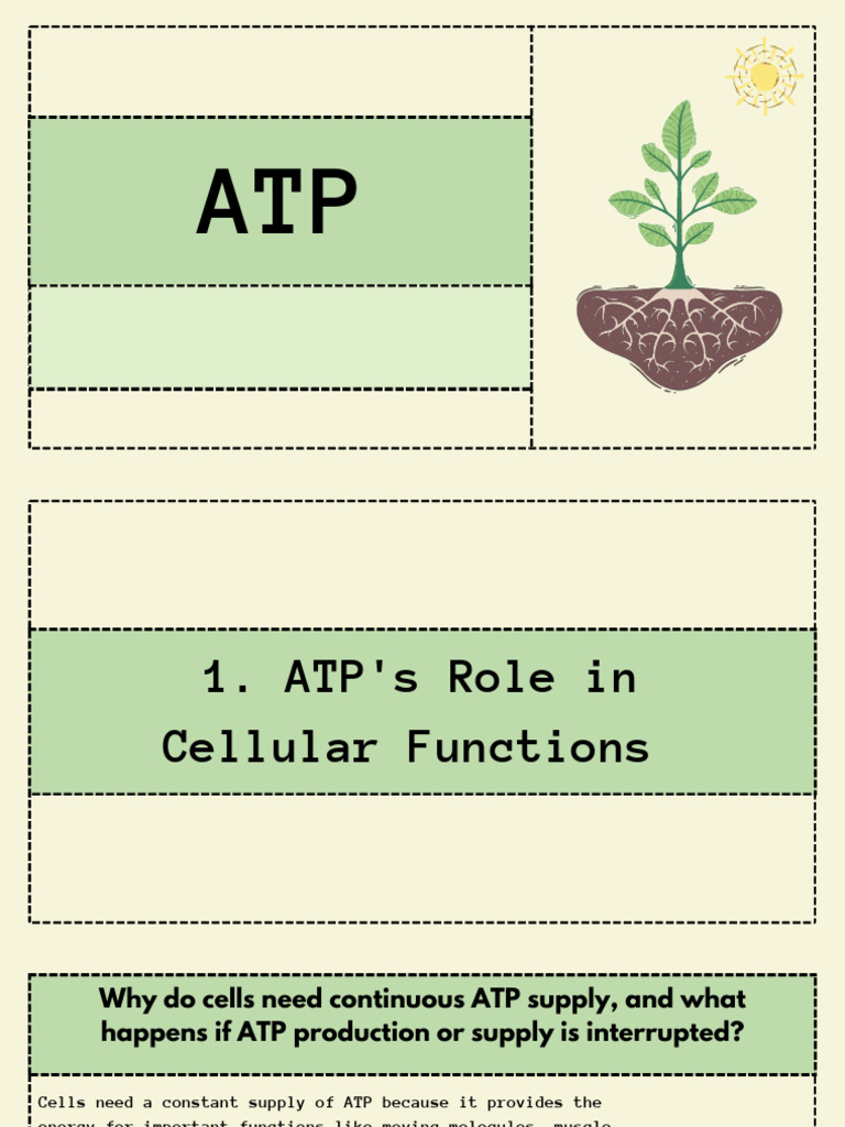 Understanding ATP's Role in Cellular Energy | PDF | Cellular ...