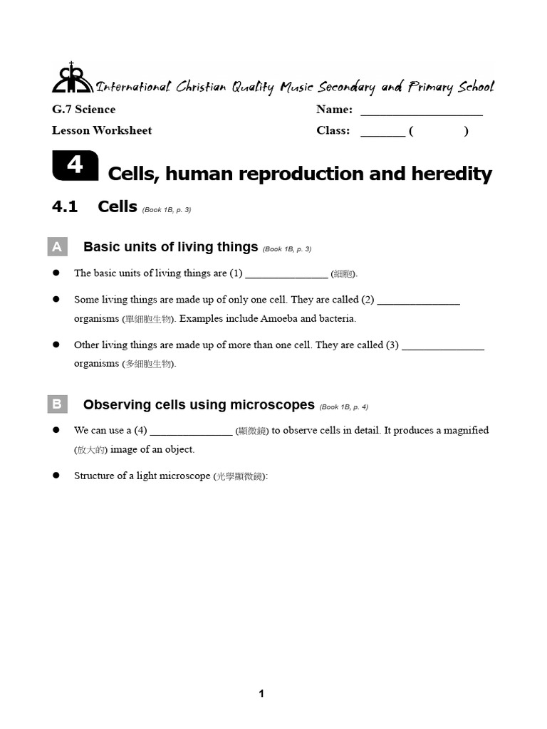 Lesson Worksheet (Unit 4) - With Solution | PDF | Cell (Biology ...