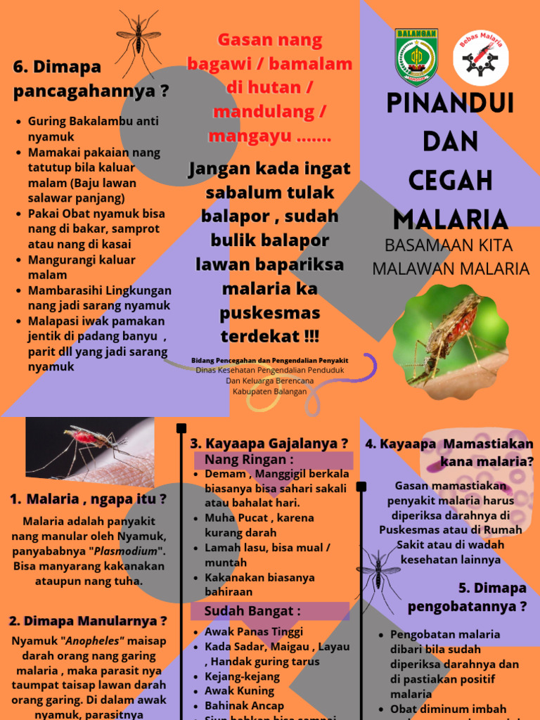 Leaflet Malaria | PDF