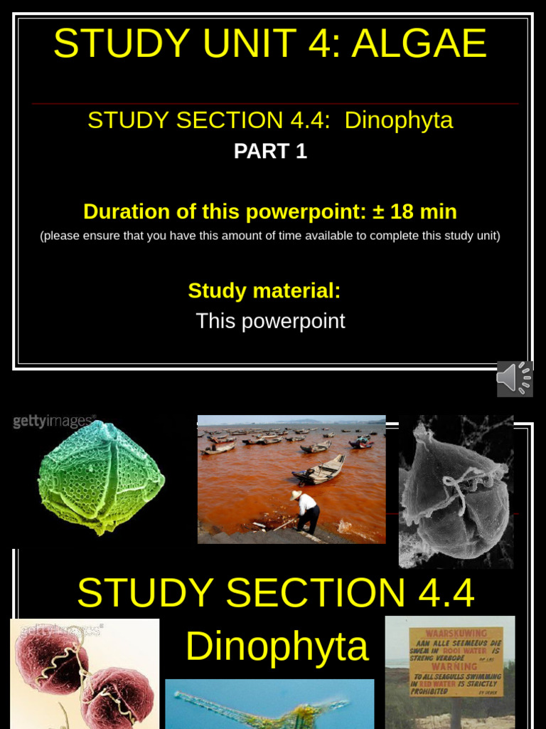 SS4.4 - Dinophyta Part 1 - VO | PDF